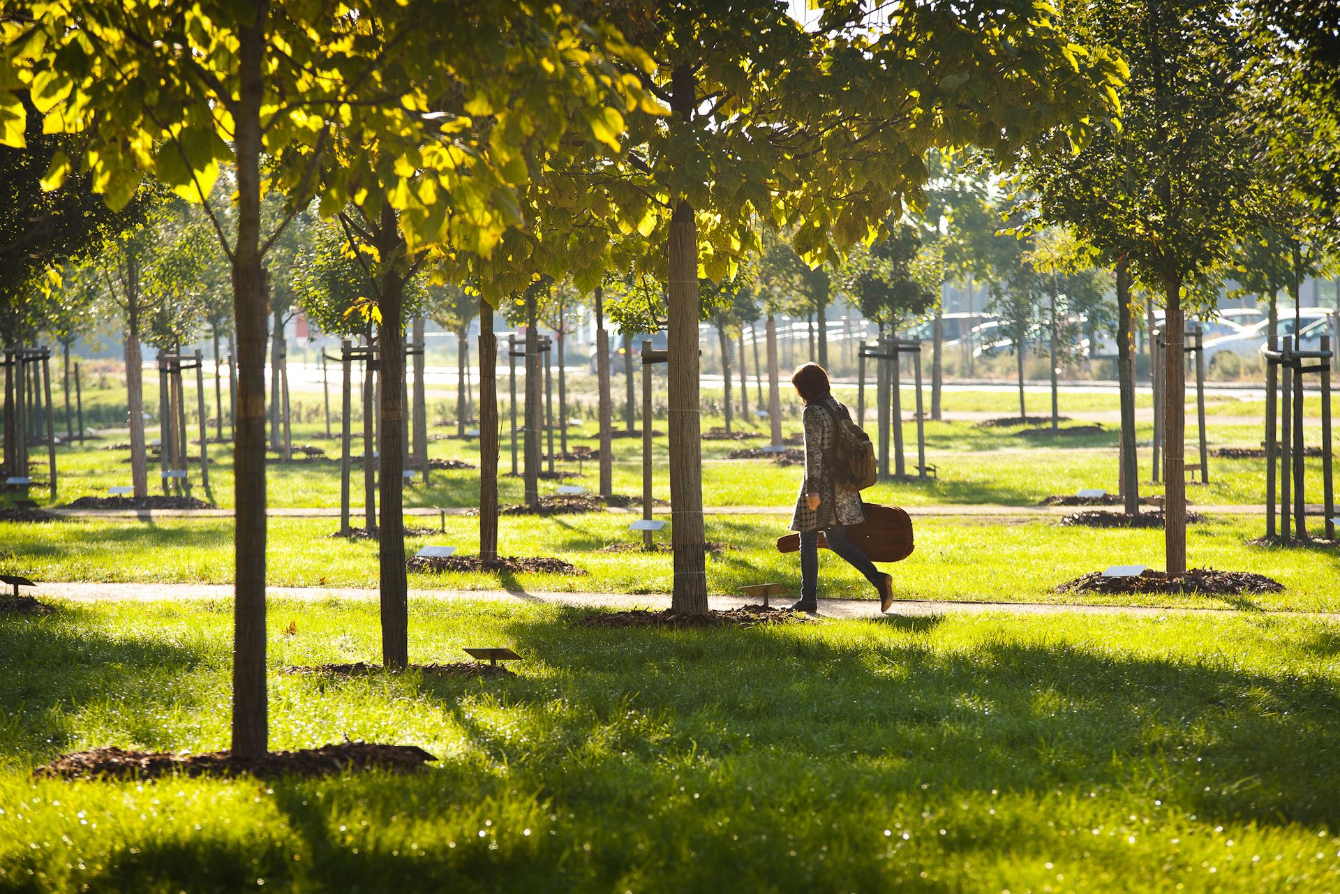 Concept | Luthergarten