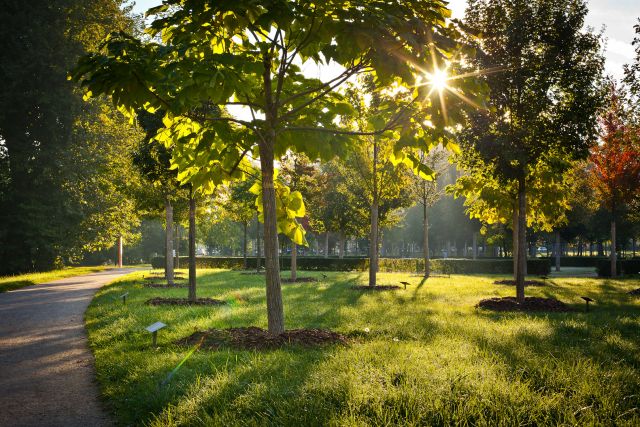 Welcome to the Luther Garden | Luthergarten